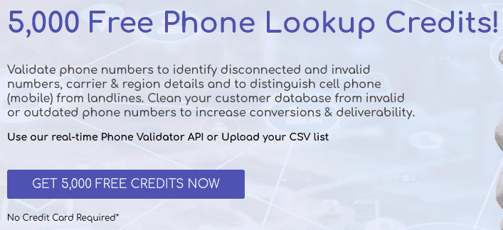 Phone Validator API to Check Numbers & Look Up Carriers | realValidito